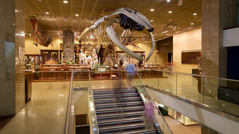 Milwaukee Public Museum - House To Home Team